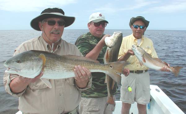 Steinhatchee Fishing Is Very Interesting