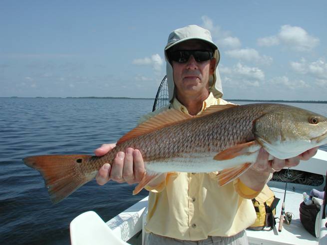 steinhatchee_red_070609 | Outdoor Update