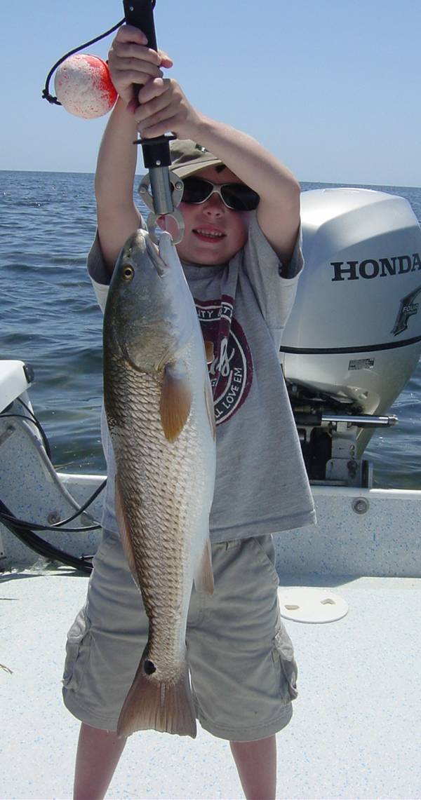 steinhatchee_red_fish_1_073009 | Outdoor Update